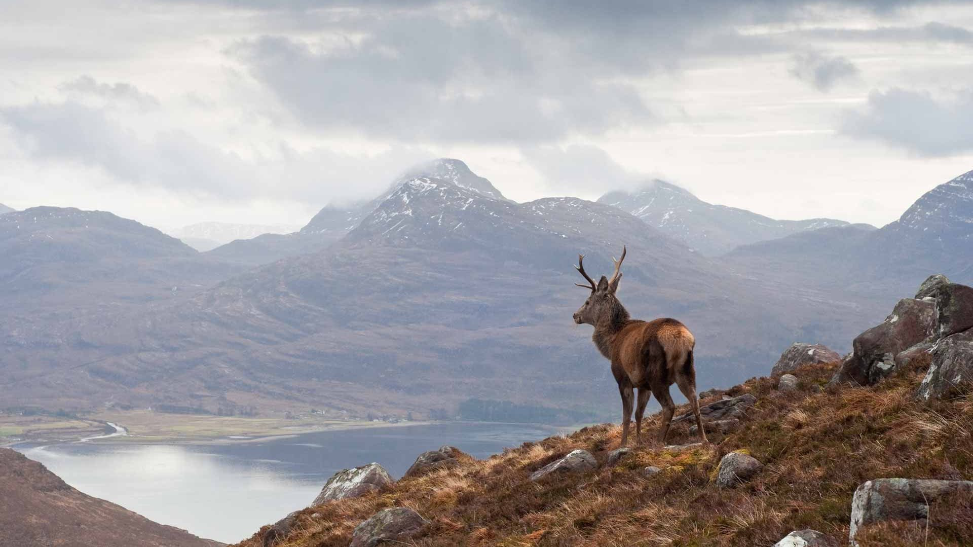 Planting Trees In The Scottish Highlands