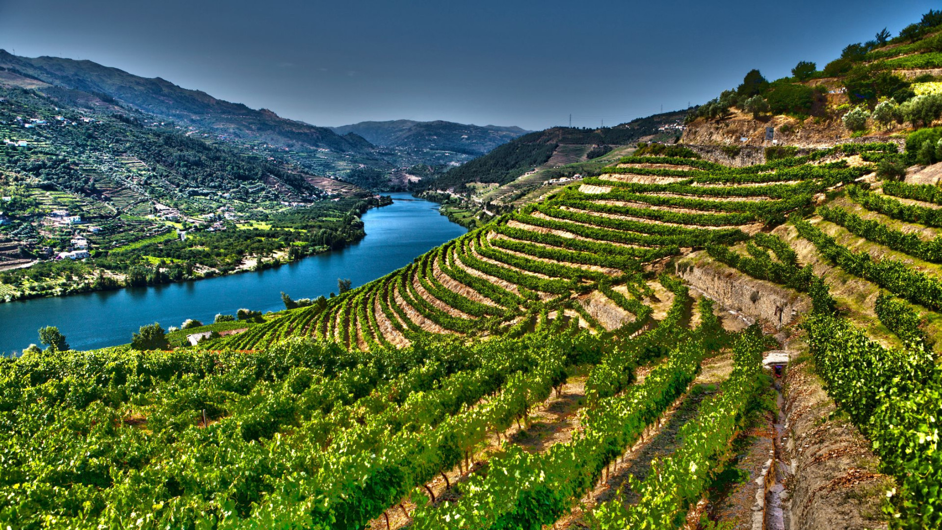 New to River Cruising? Which River Should You Choose to Cruise?